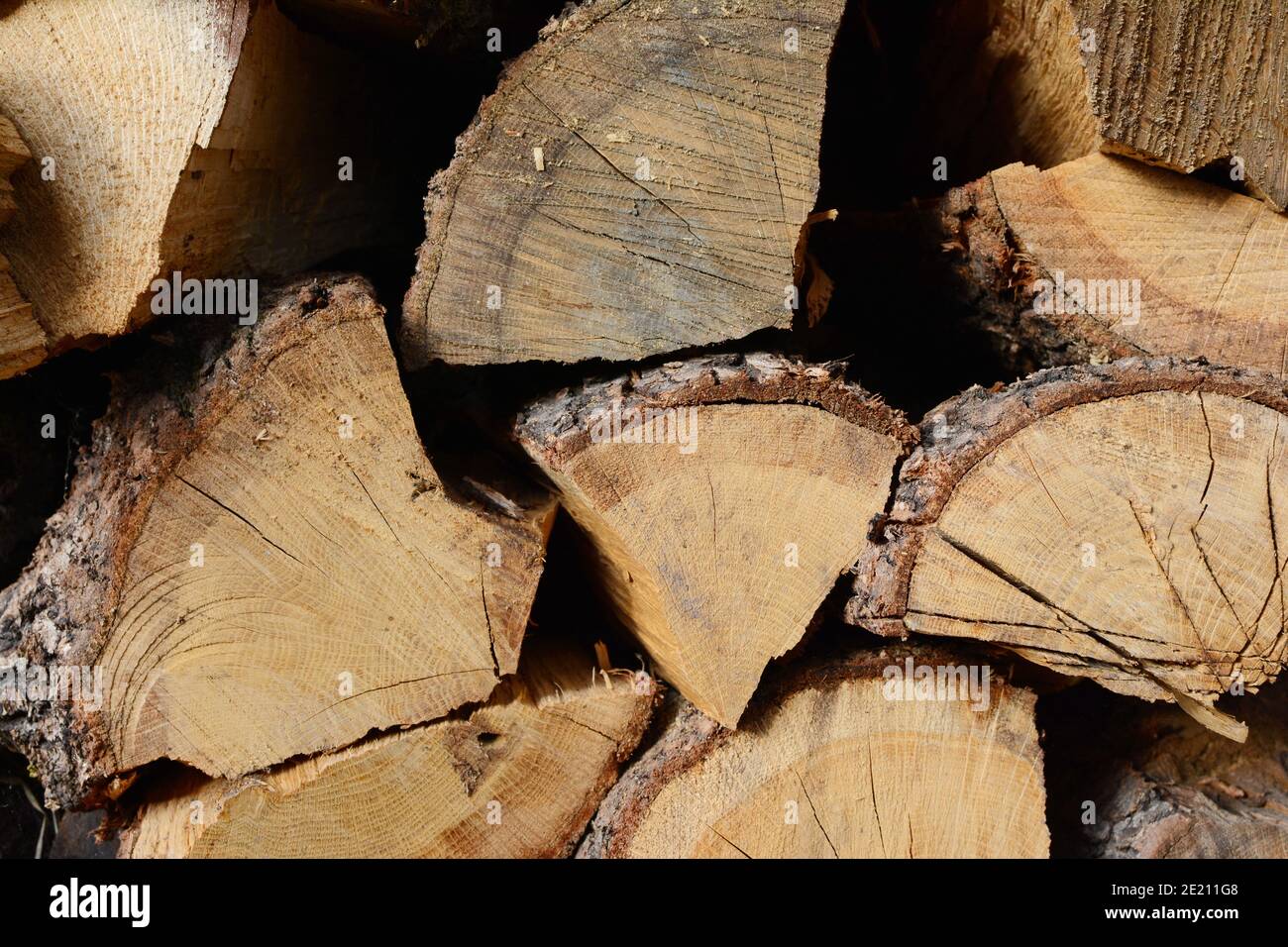 Firewood isolated on white. Oak Log Isolated on a white. Log fire wood ...