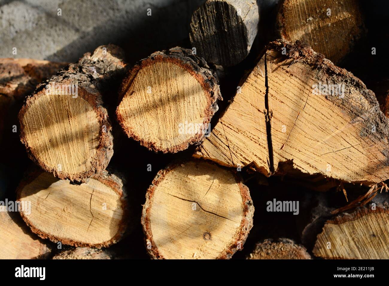 Firewood isolated on white. Oak Log Isolated on a white. Log fire wood ...