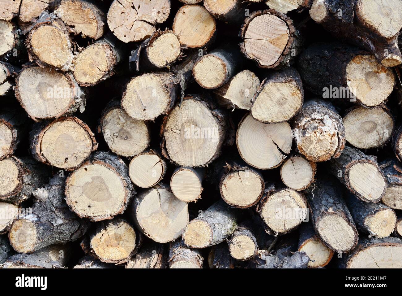 Firewood isolated on white. Oak Log Isolated on a white. Log fire wood ...