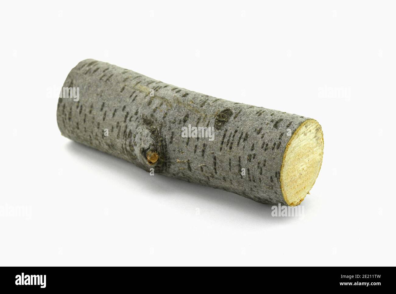 Firewood isolated on white. Log Isolated on a white. Log fire wood ...