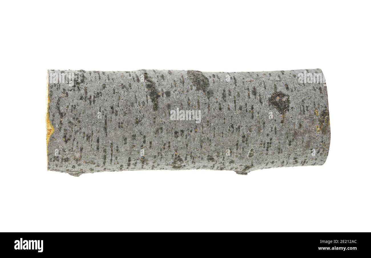 Firewood isolated on white. Log Isolated on a white. Log fire wood ...