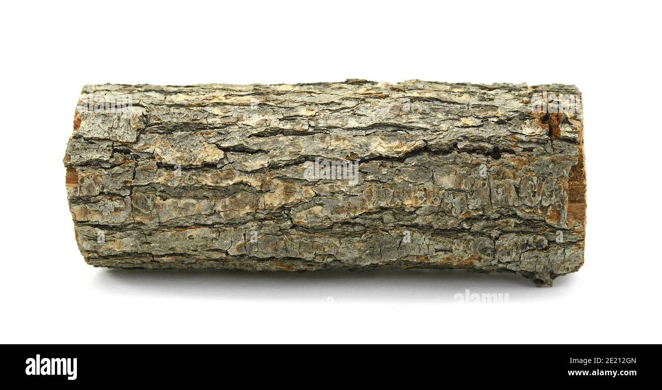 Firewood isolated on white. Oak Log Isolated on a white. Log fire wood ...