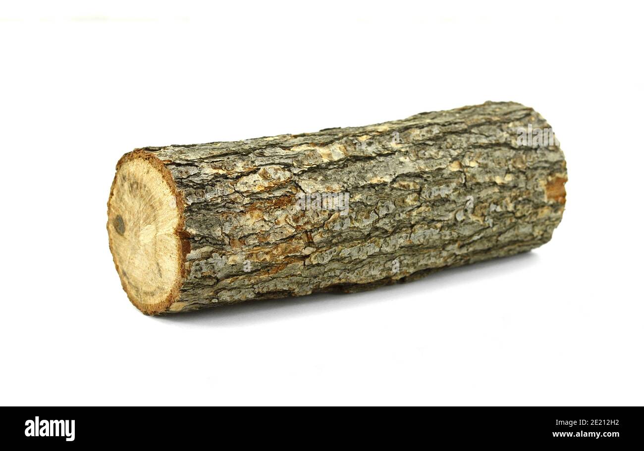 Firewood isolated on white. Oak Log Isolated on a white. Log fire wood ...