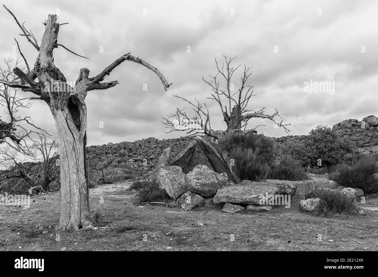 Grayscale shot of the chamber with a short corridor in Spain Stock ...