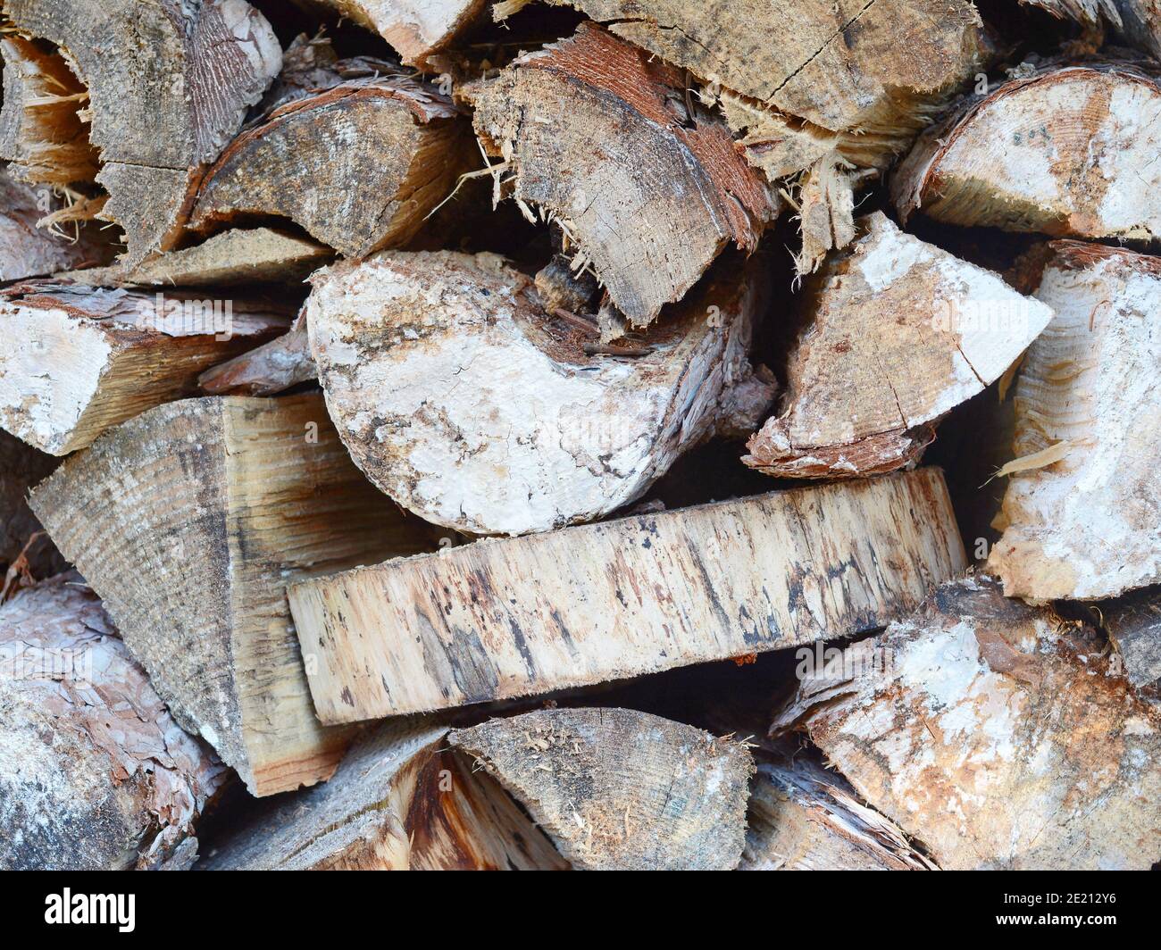 Firewood isolated on white. Oak Log Isolated on a white. Log fire wood ...