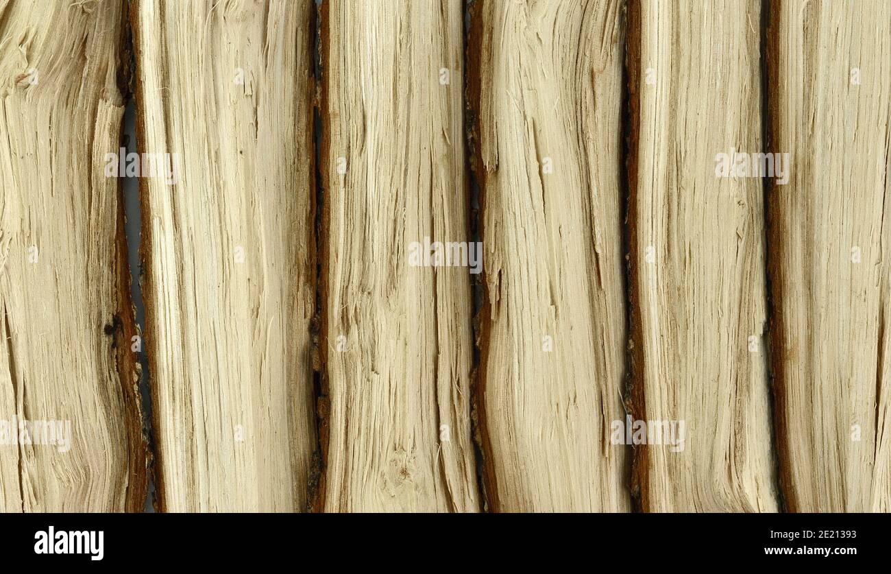 Firewood isolated on white. Oak Log Isolated on a white. Log fire wood ...