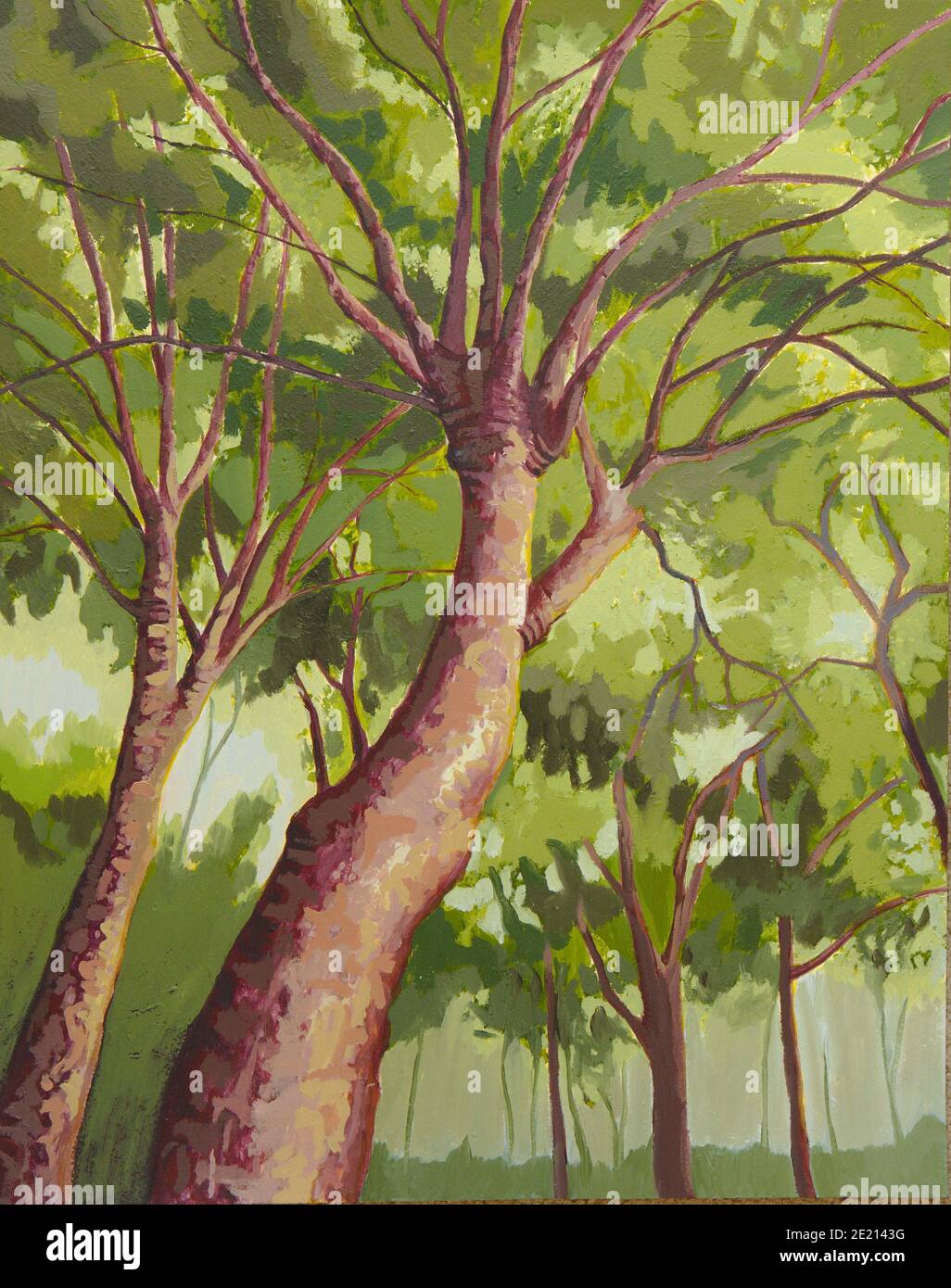 London plane painting hi-res stock photography and images - Alamy