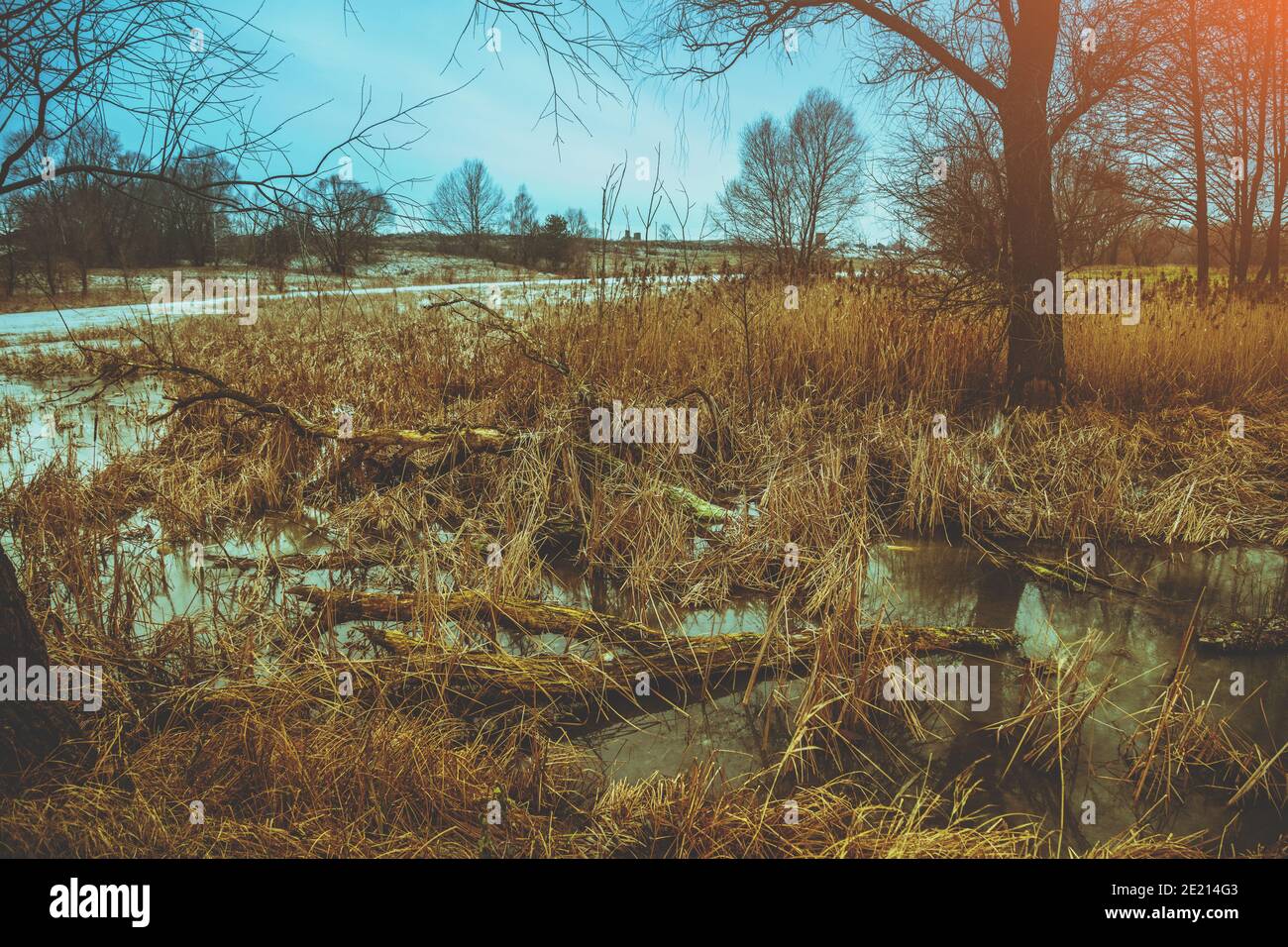 Rural landscape. River in early spring. Beautiful nature. Reflection of ...