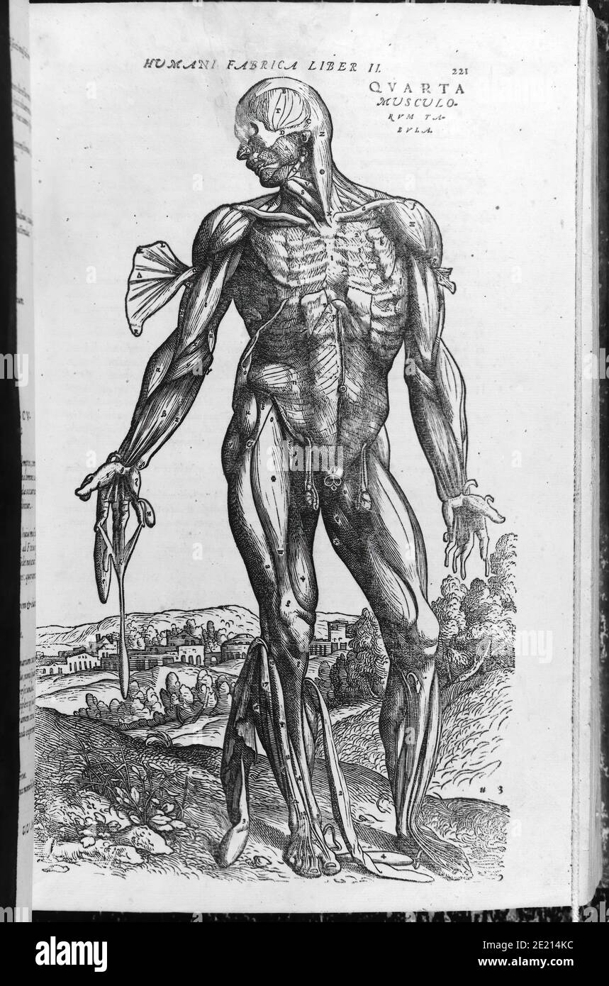 Closeup of a page in the Atlas of Human anatomy book showing male ...