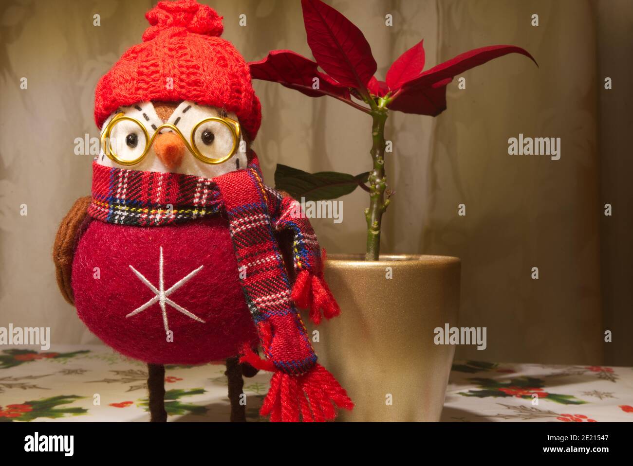 Victorian christmas card robin hi-res stock photography and images - Alamy