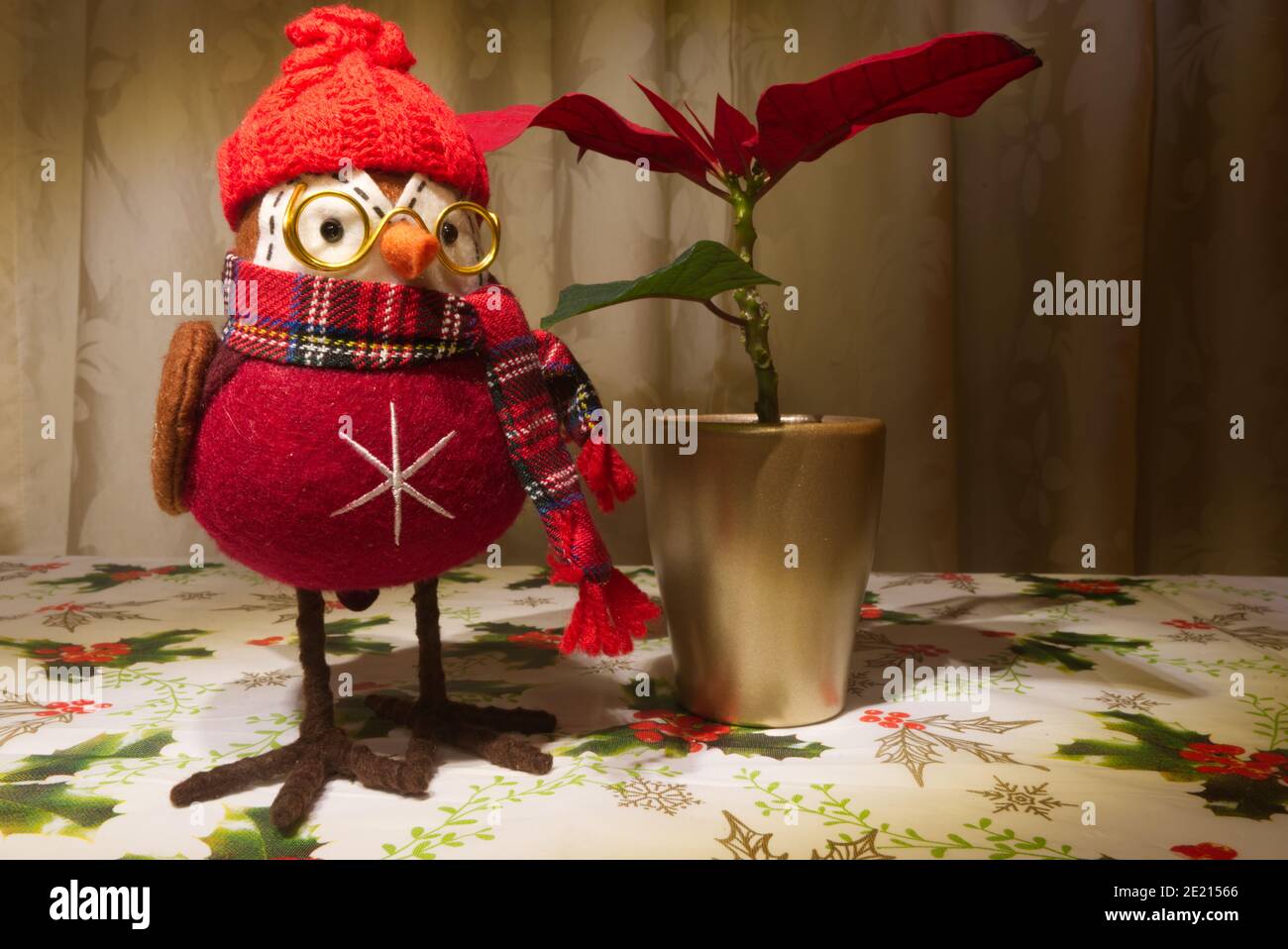 Robin card design hi-res stock photography and images - Alamy