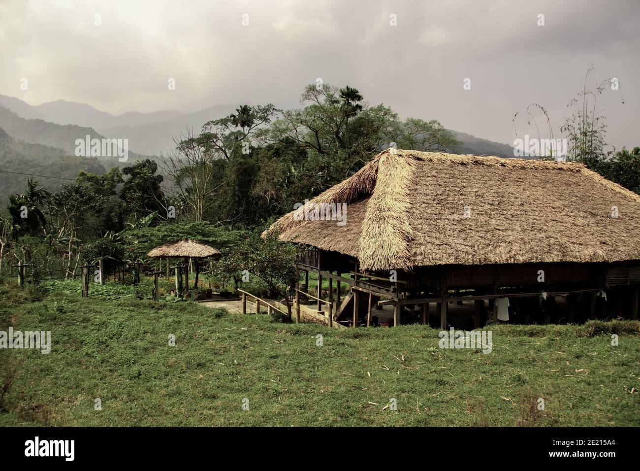 Traditional Asian thatched house on stilts at a rural landscape Stock ...