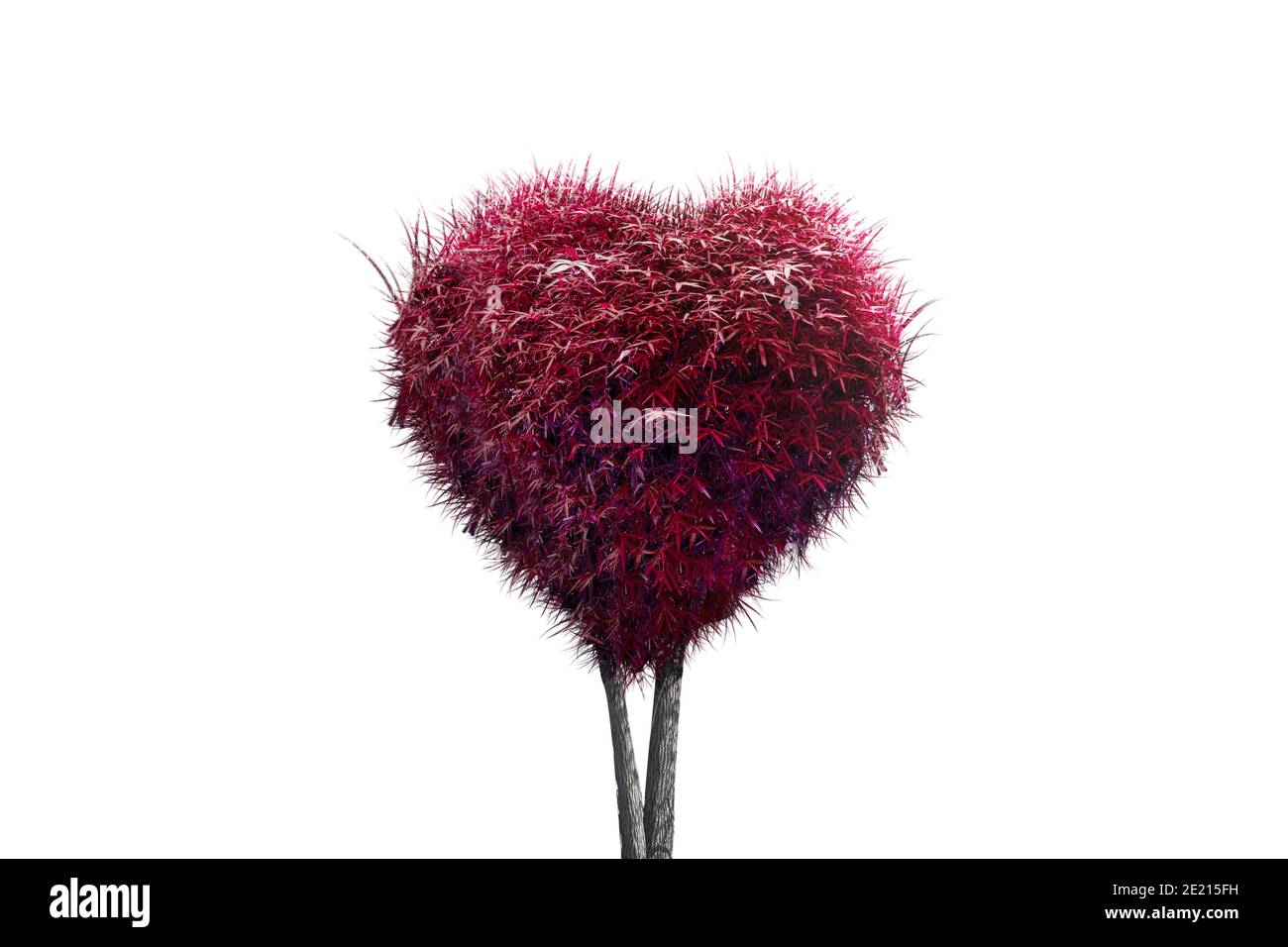 Tree with heart shape with red leaf isolated over white background ...