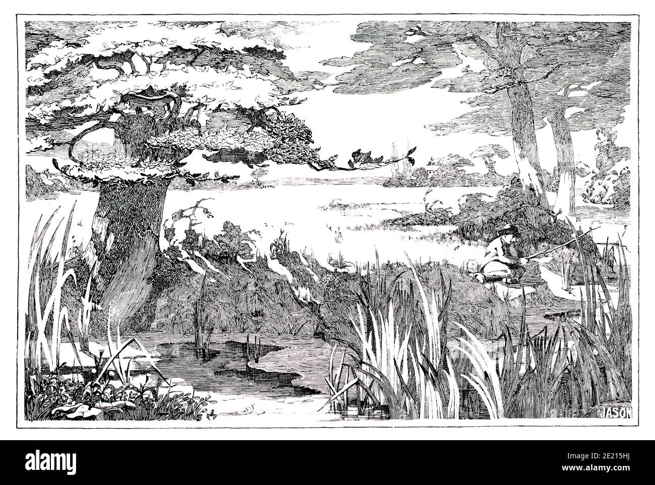 The illustrated man illustrations Cut Out Stock Images & Pictures - Alamy