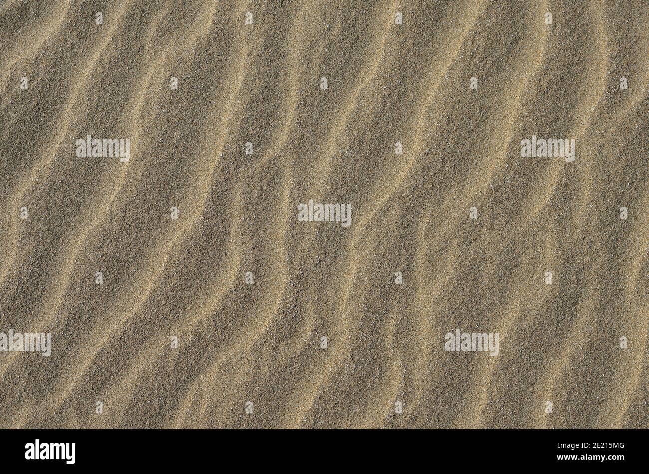 The texture of a sandy surface with natural waves formed by the winds ...