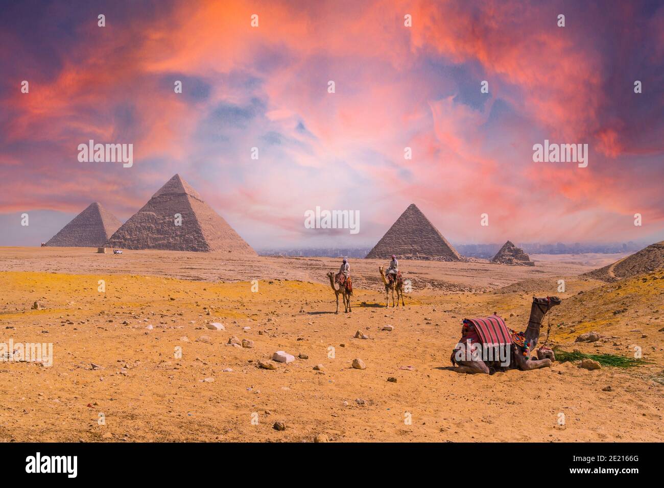View of the Pyramids of Giza and a few camels against a colorful sunset ...