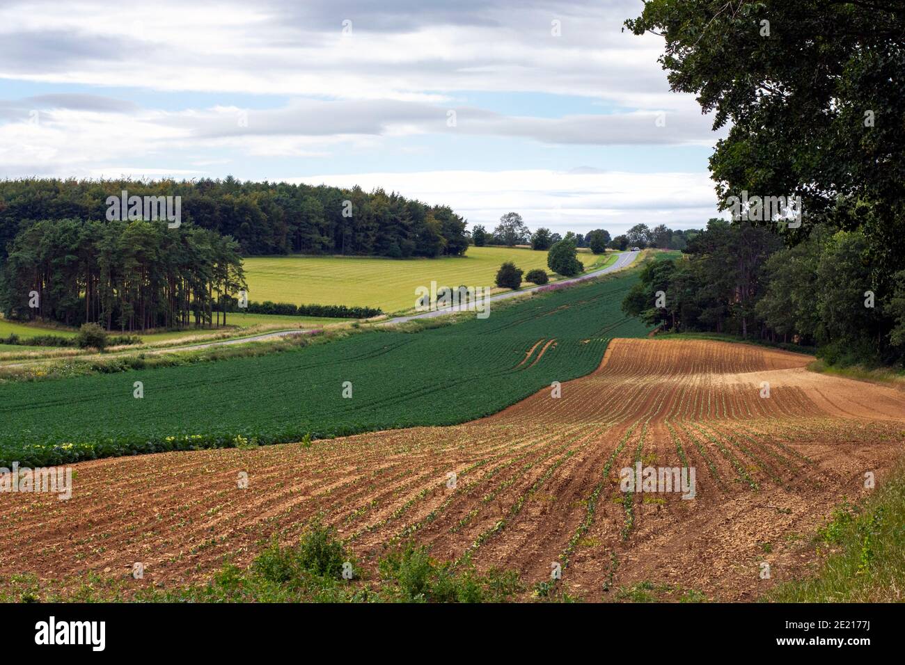 A summer countryside landscape, Worcestershire, England, UK Stock Photo ...