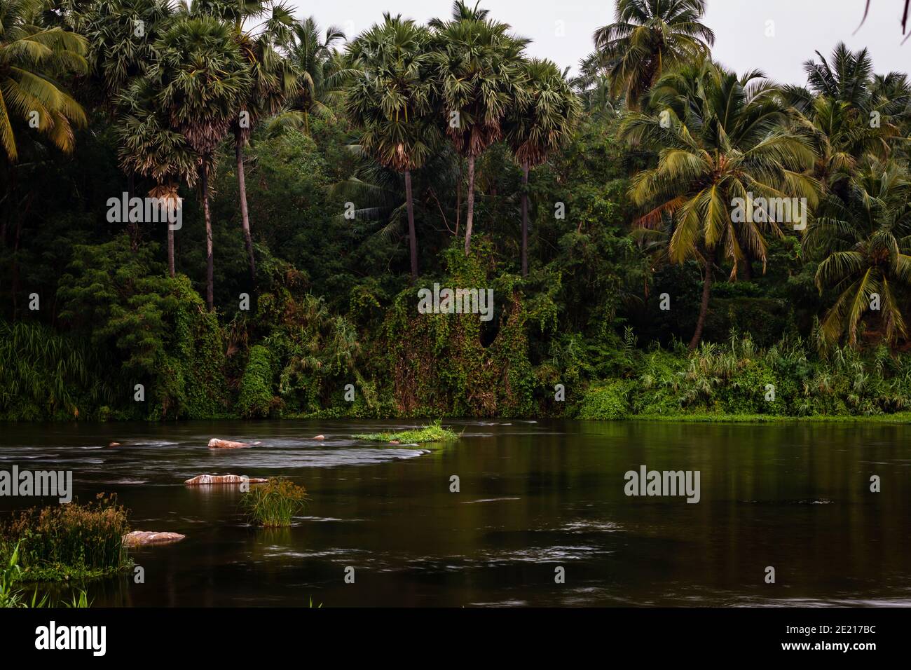 View of smooth and silky flow of water in Bharathappuzha River (also ...