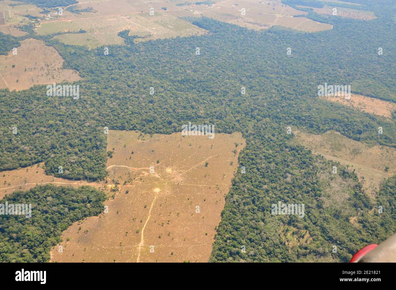 Aerial view of the Brazilian Amazonian Rain Forest showing areas of ...