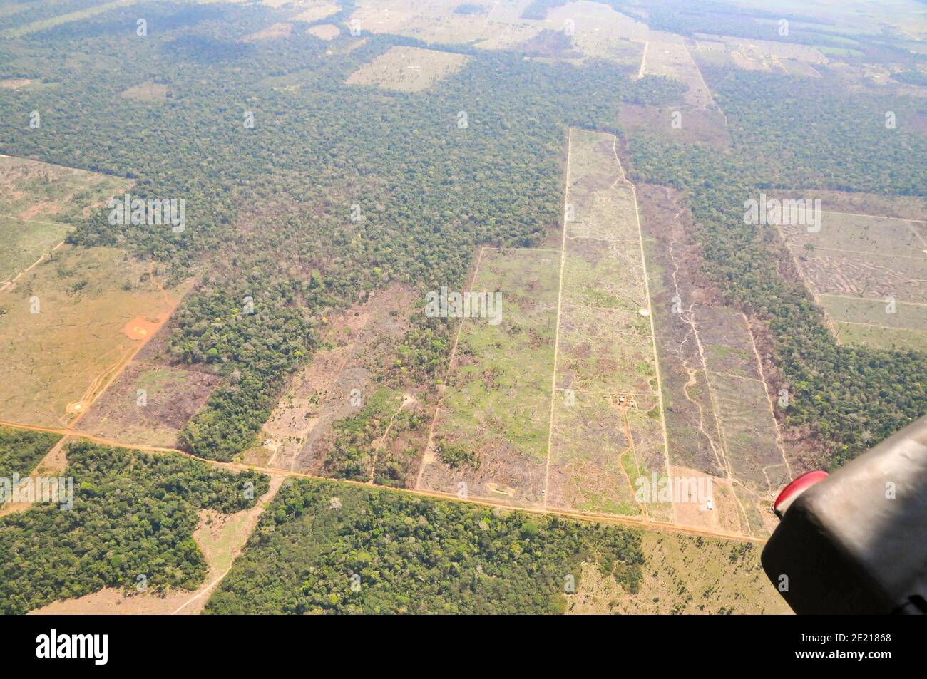 Aerial view of the Brazilian Amazonian Rain Forest showing areas of ...
