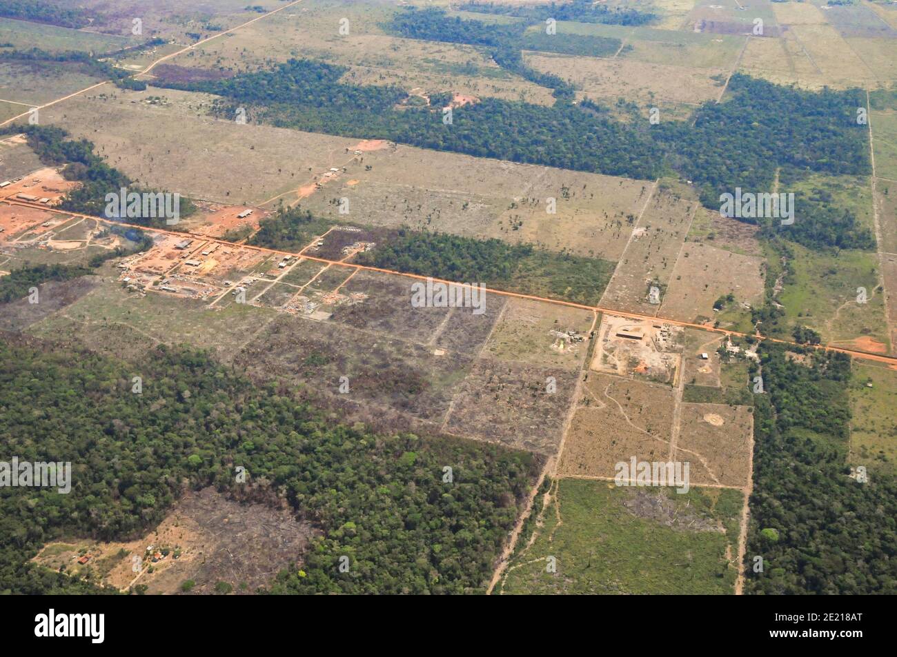 Aerial view of the Brazilian Amazonian Rain Forest showing areas of ...