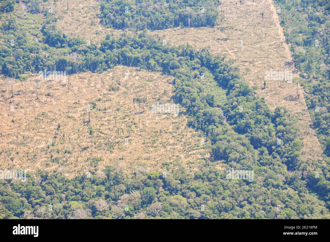 Aerial view of the Brazilian Amazonian Rain Forest showing areas of ...