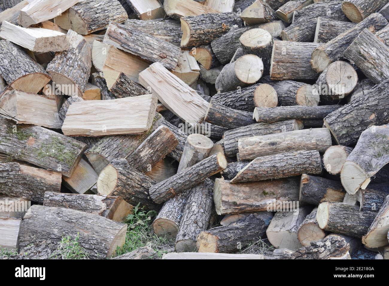 Firewood isolated on white. Oak Log Isolated on a white. Log fire wood ...
