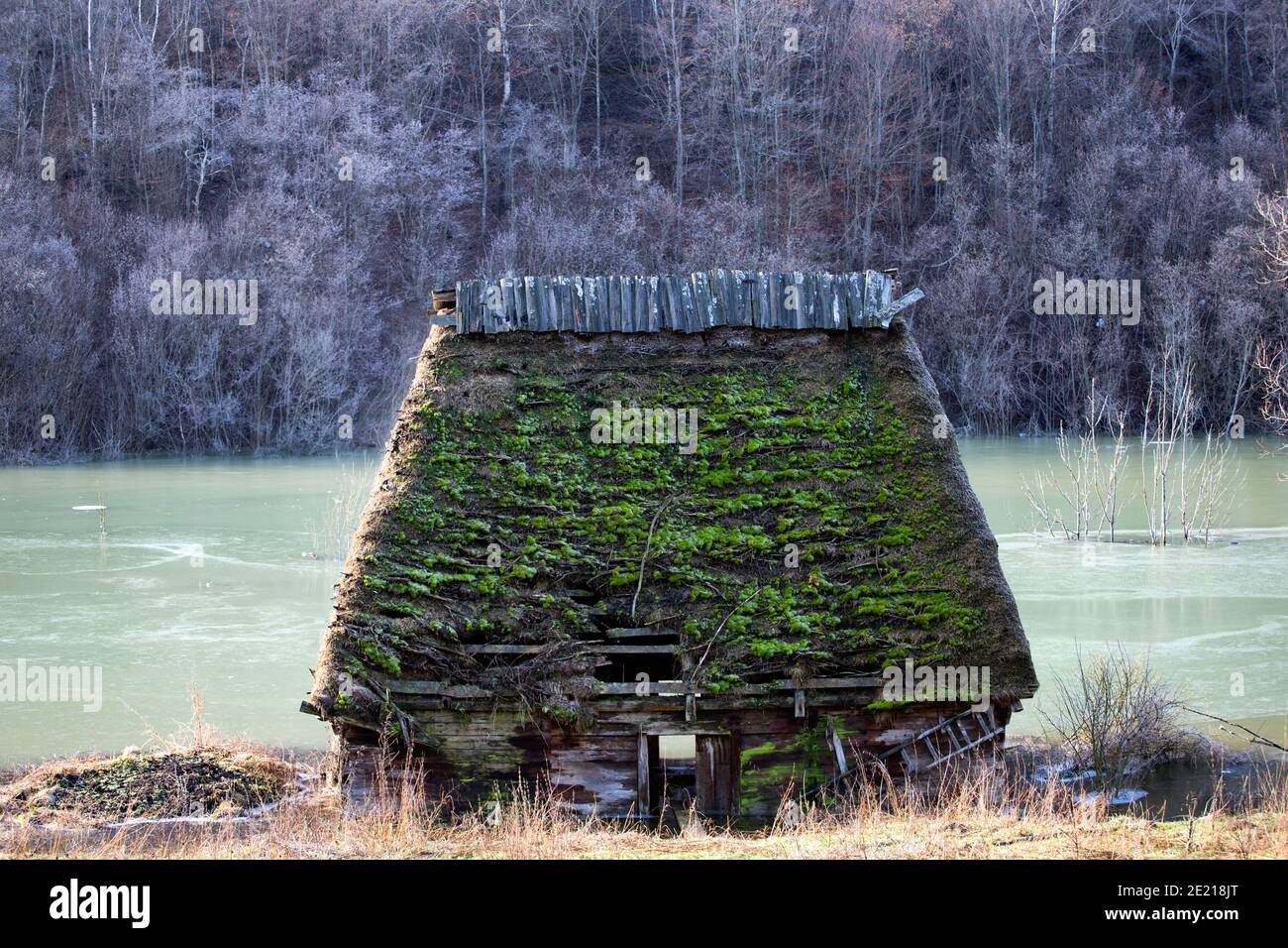 Ecological bomb hi-res stock photography and images - Alamy