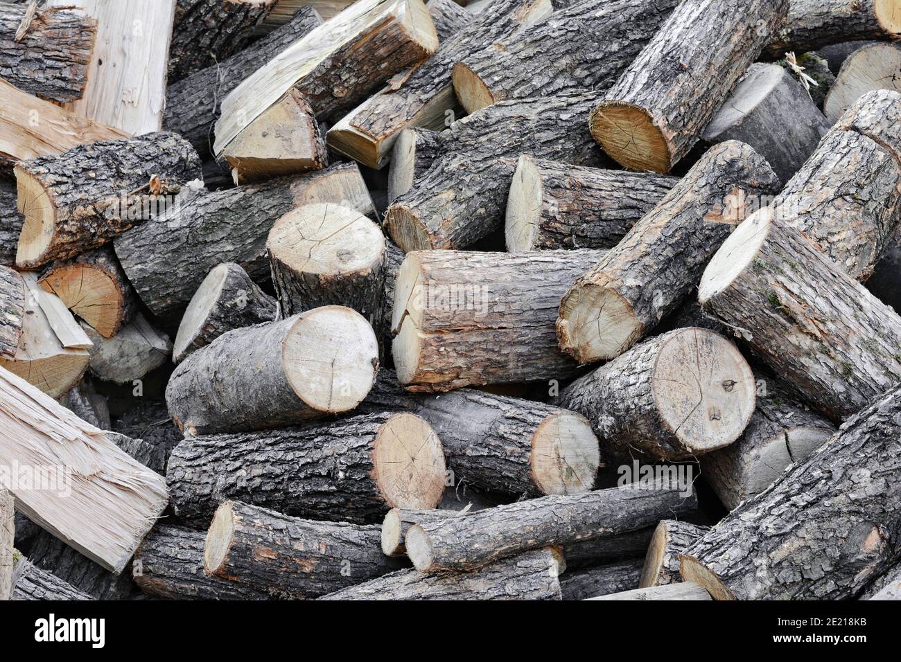 Firewood isolated on white. Oak Log Isolated on a white. Log fire wood ...