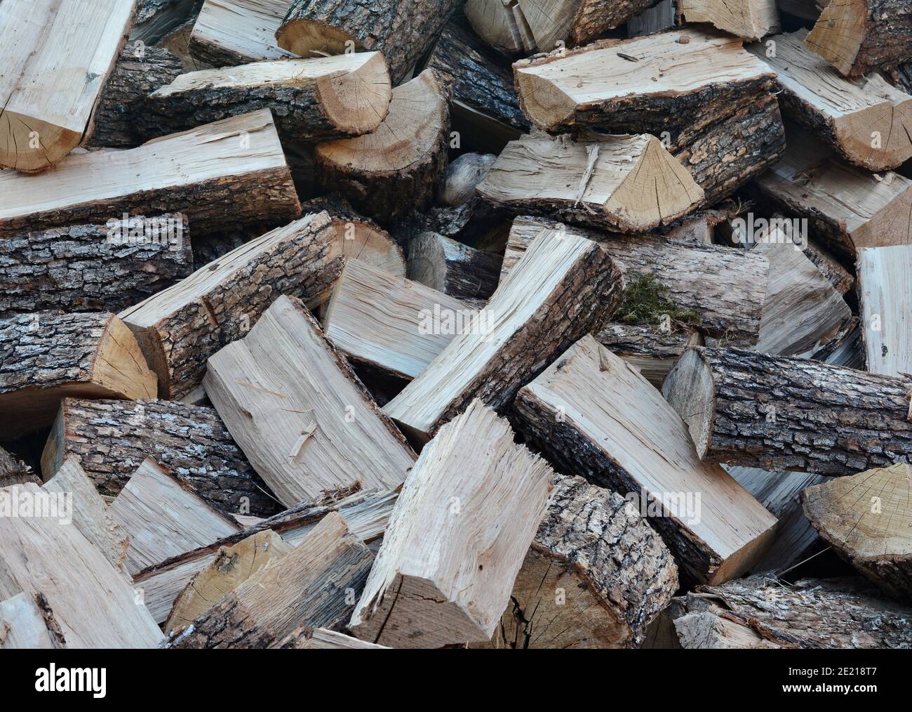 Firewood isolated on white. Oak Log Isolated on a white. Log fire wood ...