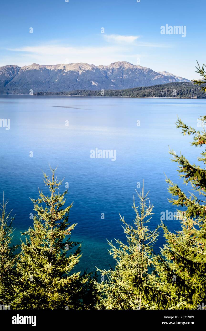 Beautiful shot conifers on hi-res stock photography and images - Alamy
