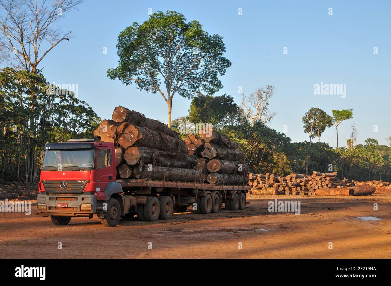 Logging activities in the Brazilian Rainforest causes large scale ...