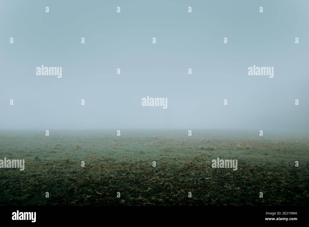 View of a field covered with fog Stock Photo - Alamy