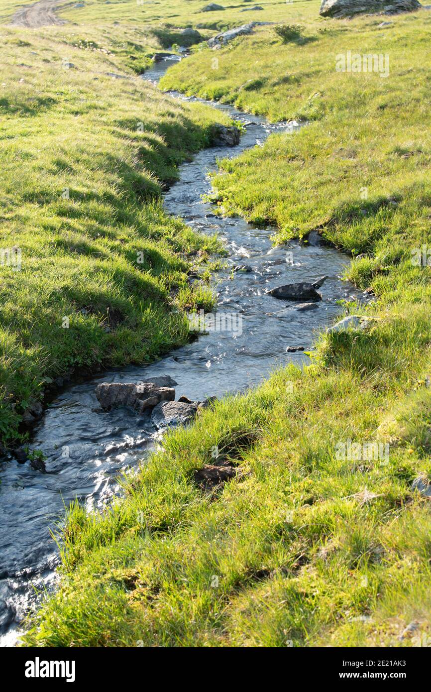 Vertical shot of the narrow flowing water on a greenfield landscape ...