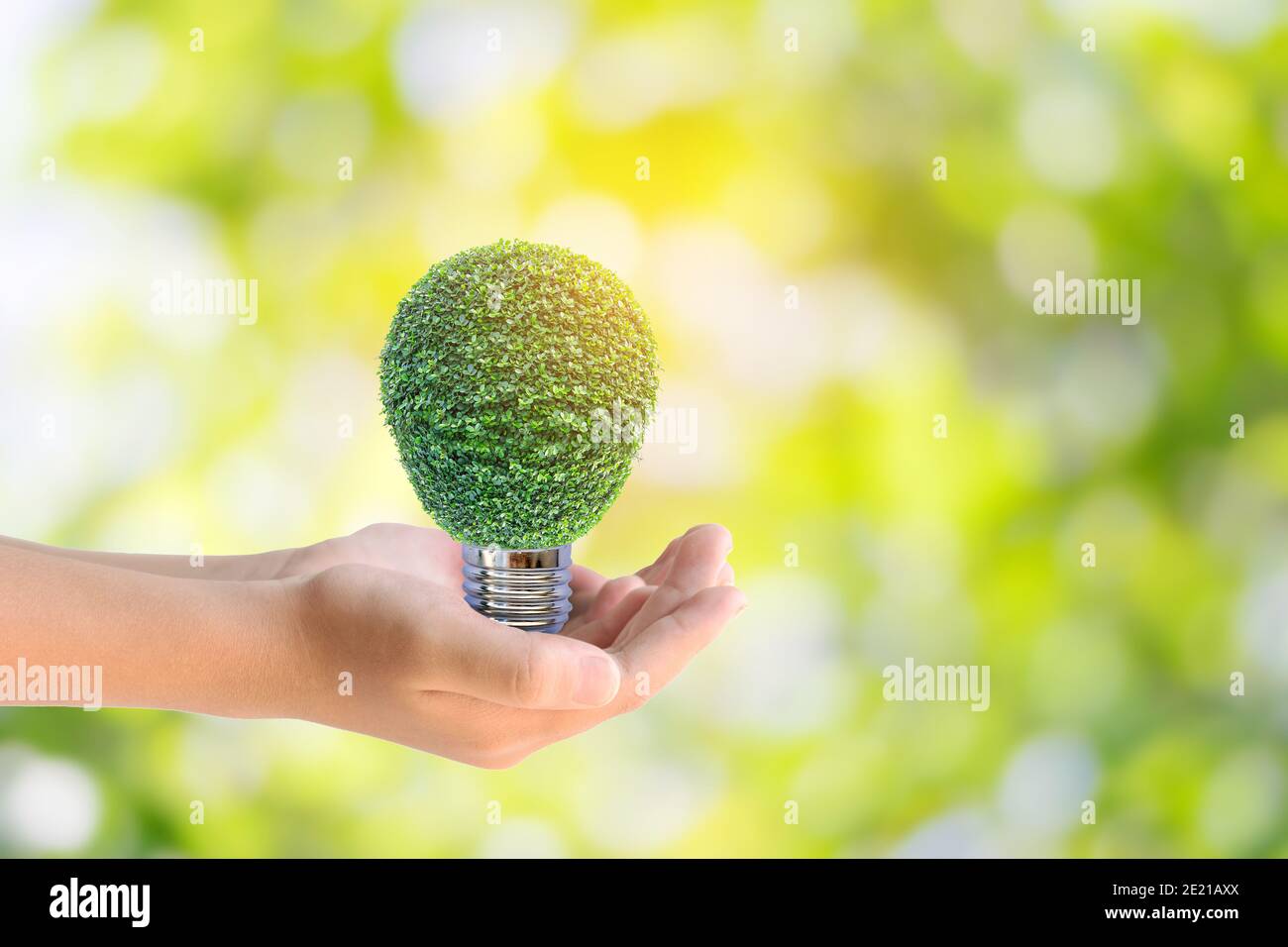 Human hands holding the energy saving lamp of tree on green nature ...