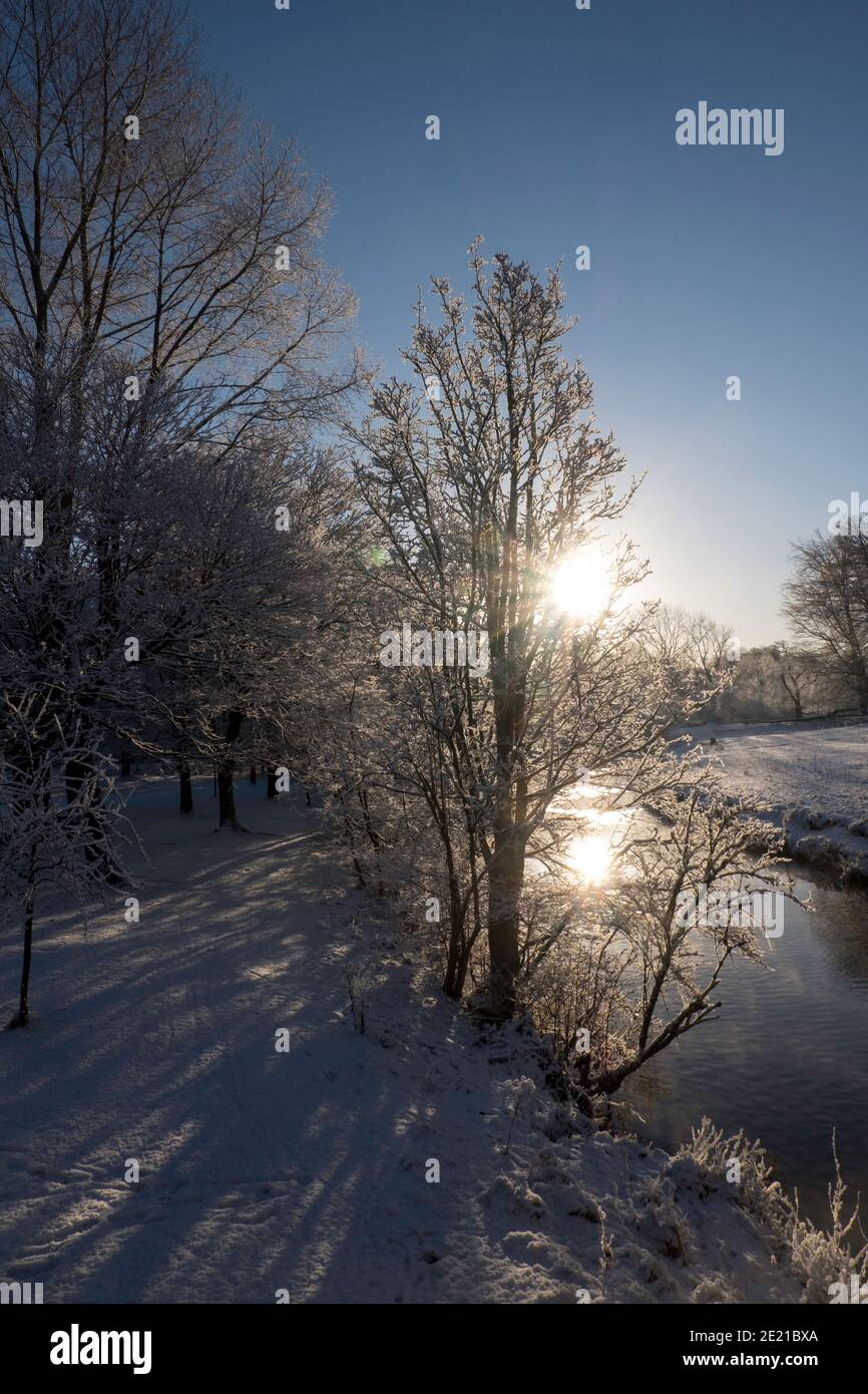 Snow covered trees by river Stock Photo - Alamy