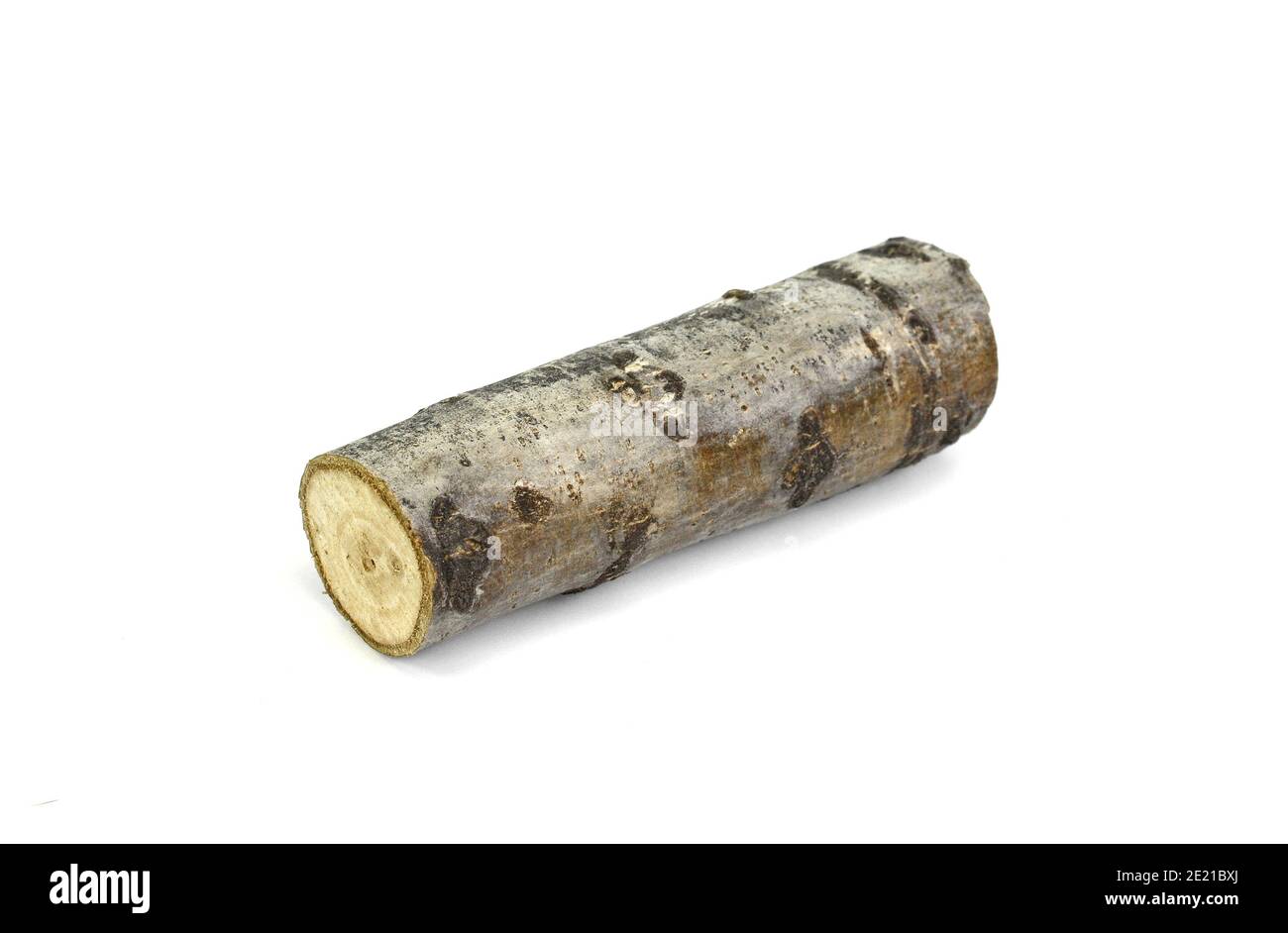 Firewood isolated on white. Walnut tree Log Isolated on a white. Log ...