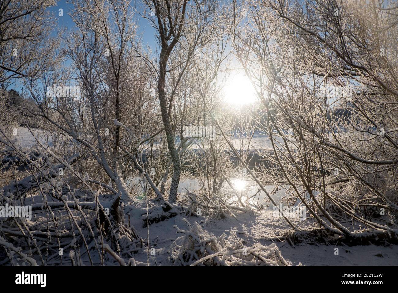 Rising sun country park hi-res stock photography and images - Alamy