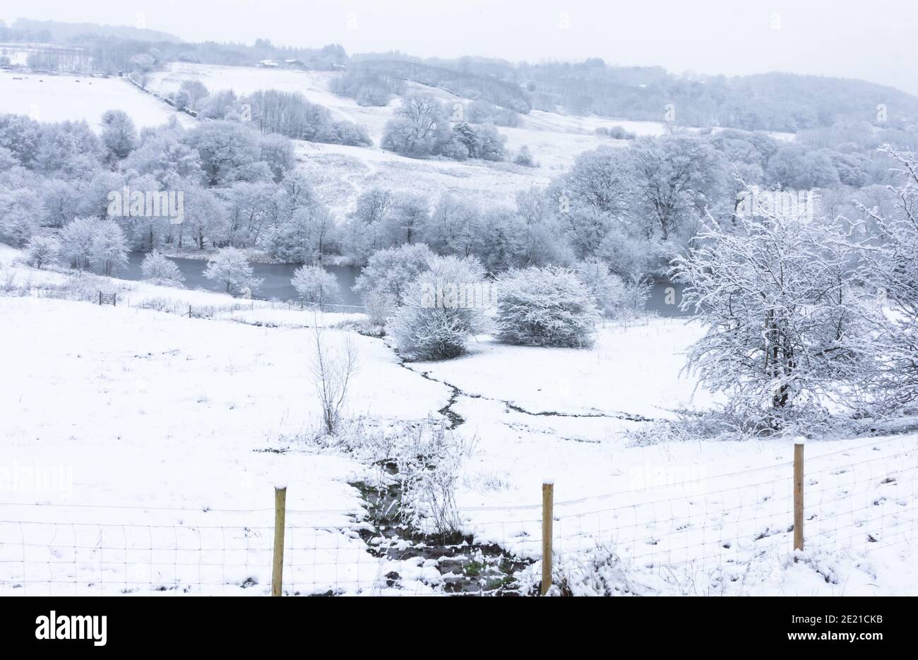 Winter in Gill Beck Valley, Baildon, Yorkshire Stock Photo - Alamy
