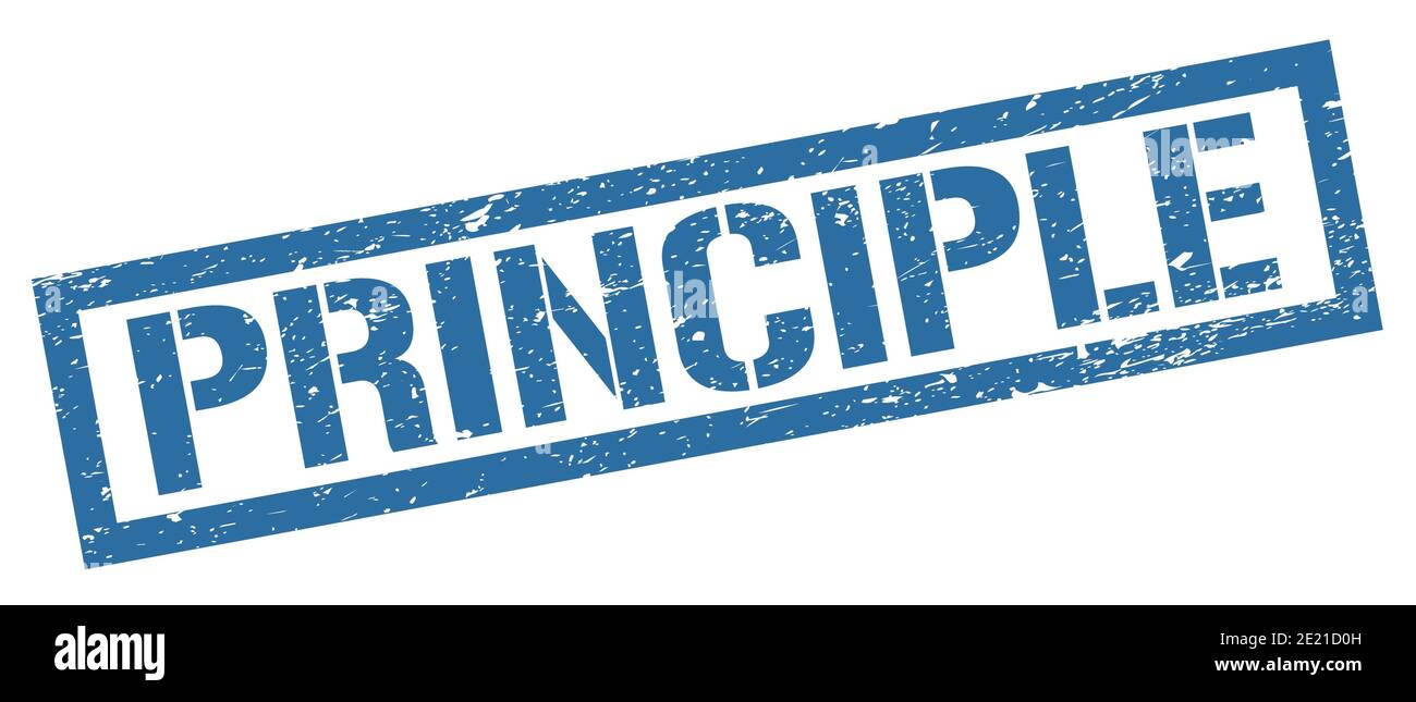 PRINCIPLE blue grungy rectangle stamp sign Stock Photo - Alamy