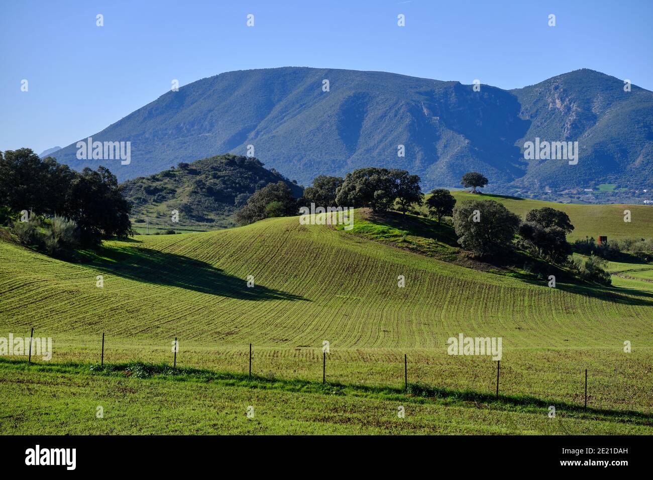 Andalusia landscape farm Stock Photo - Alamy