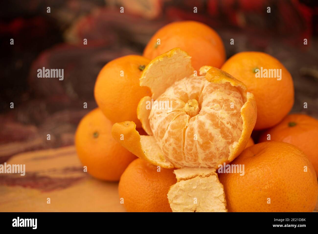Tangier morocco garden hi-res stock photography and images - Alamy