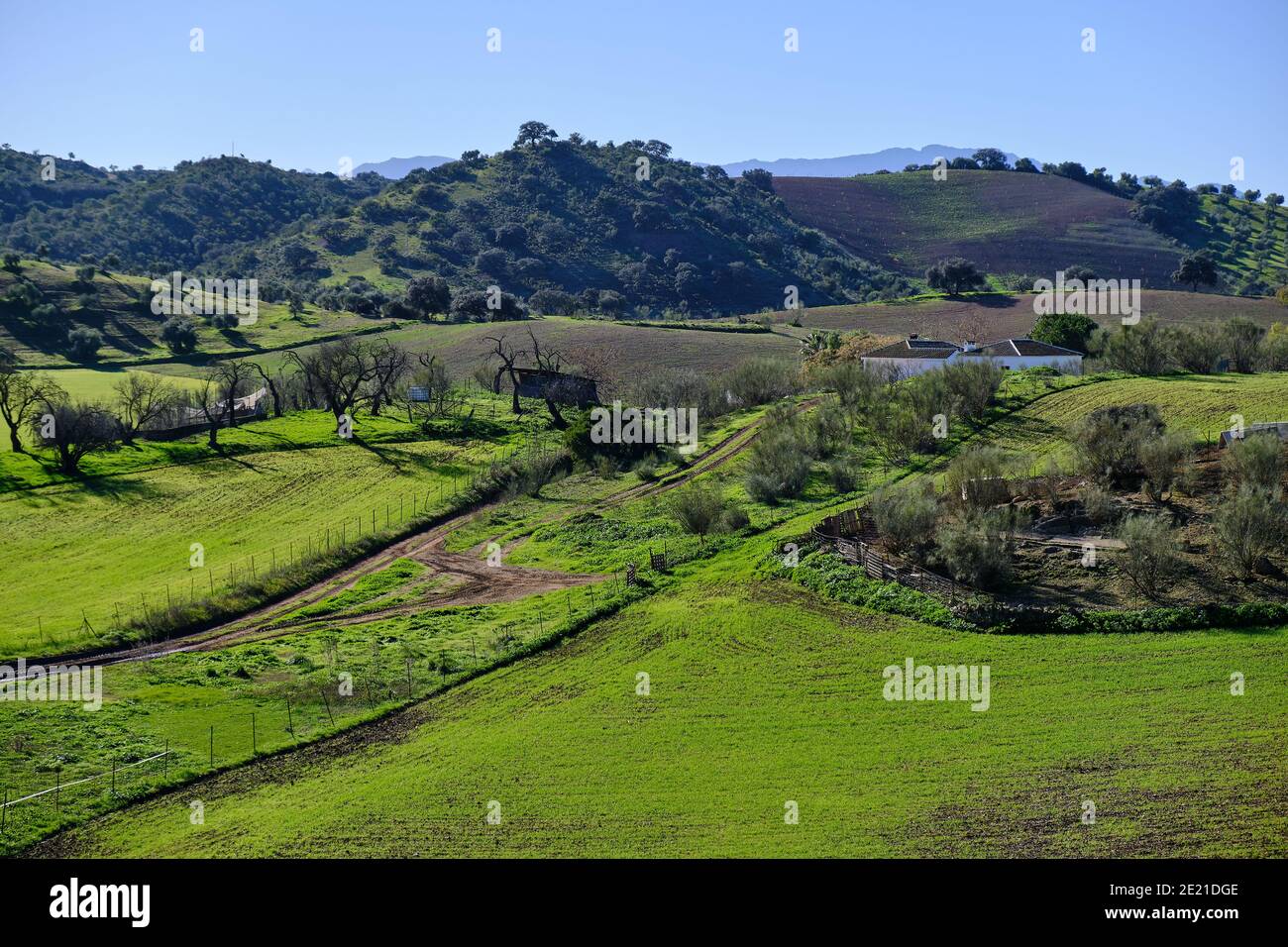 Andalusia vineyard hi-res stock photography and images - Alamy