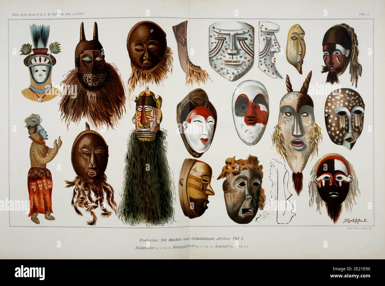 Masks from the German Book ' Die Masken und Geheimbünde Afrikas ' [The ...