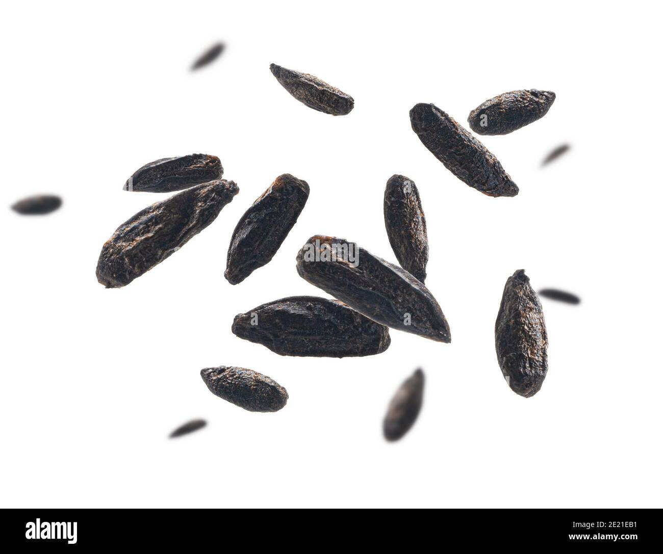 Roasted rye malt grains levitate on a white background Stock Photo - Alamy