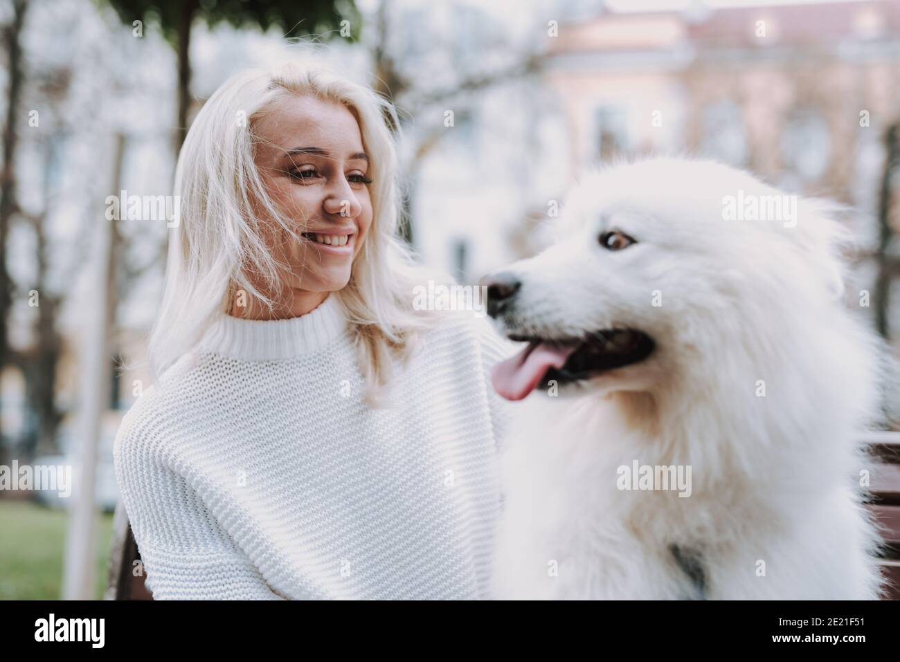 Female samoyed hi-res stock photography and images - Alamy