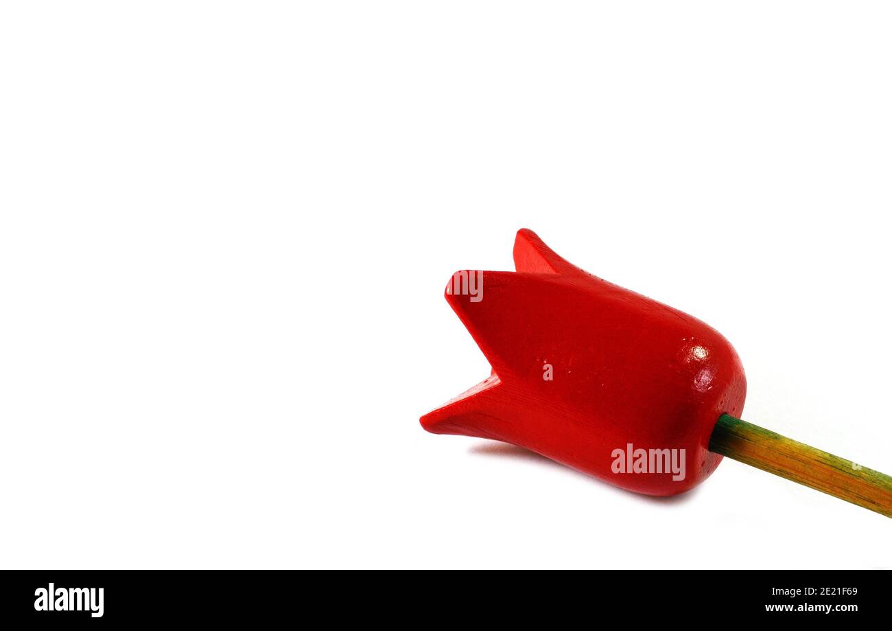 Red Wooden Tulip isolated on white background Stock Photo - Alamy