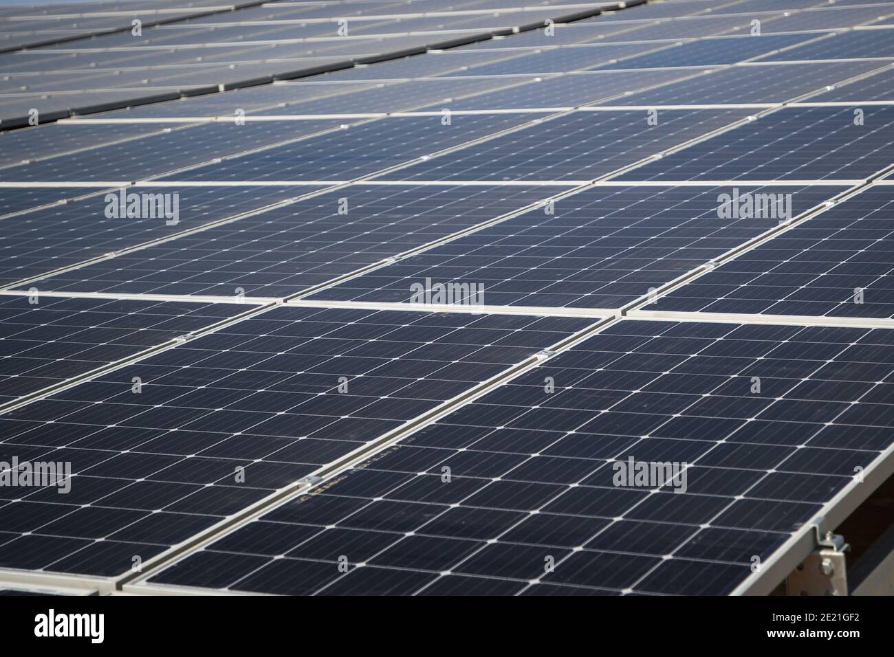 Neom, Saudi Arabia. 11th Jan, 2021. Solar Panel of Green Corp during ...
