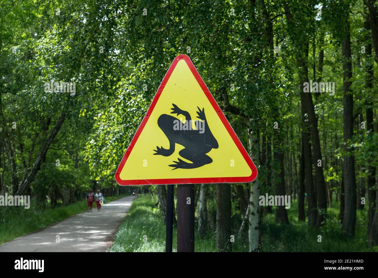 Frog Road Sign High Resolution Stock Photography and Images - Alamy