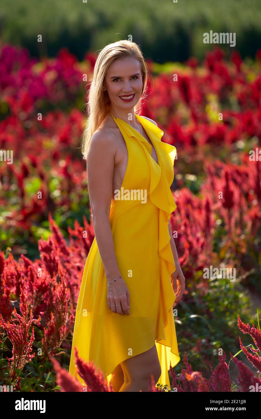 Backlit sun model hi-res stock photography and images - Alamy